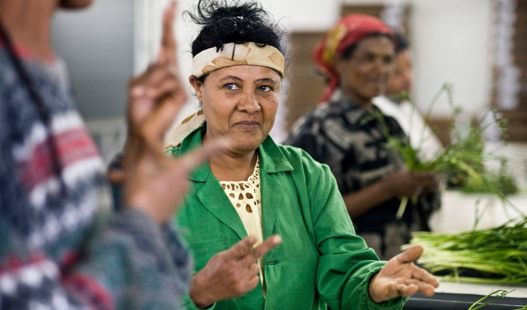 How the human talent for charades helps explain the origin of language ...